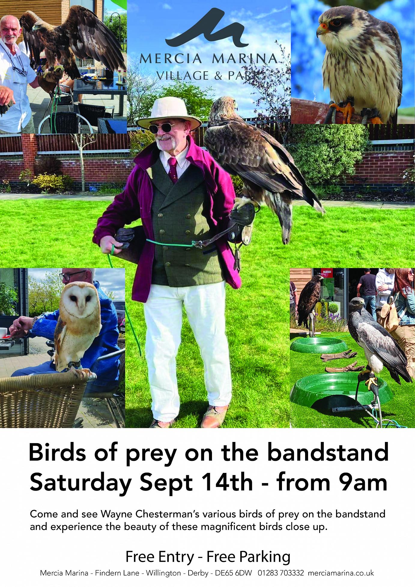Mercia Marina :: Birds of prey on the bandstand